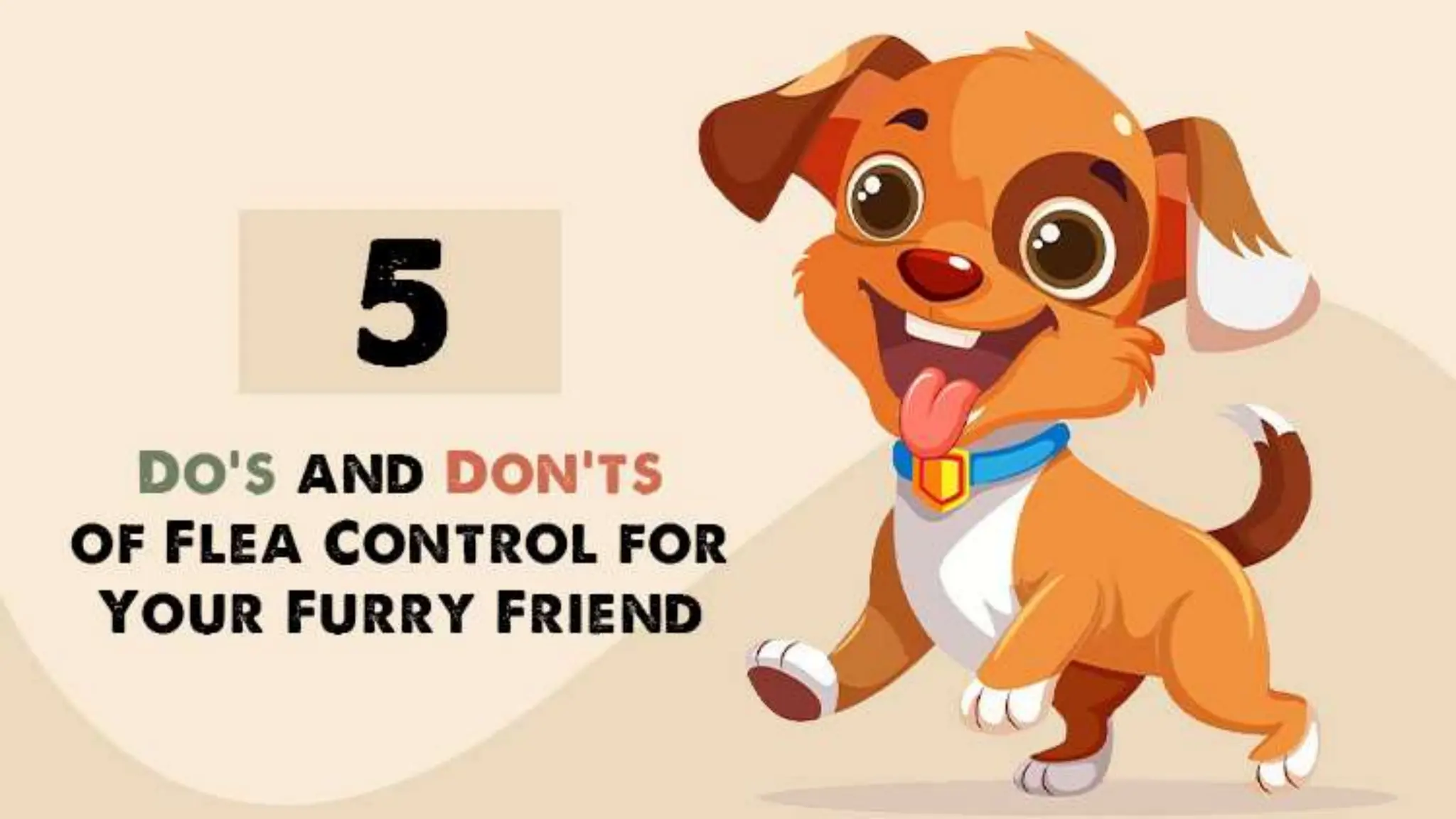 5 Do’s and Don’ts of Flea Control for Your Furry Friend | PPT