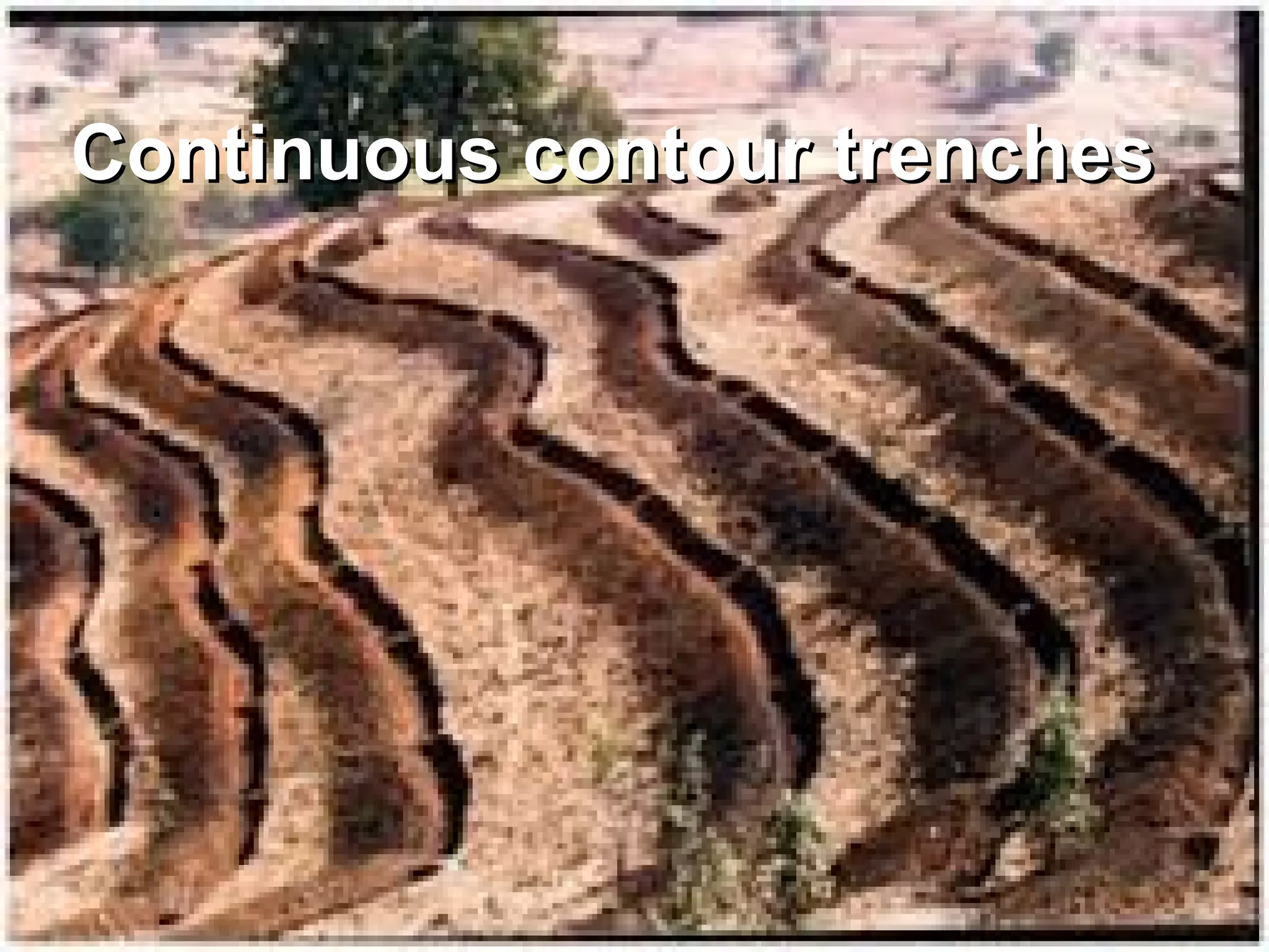 Water Conservation Techniques | PPT