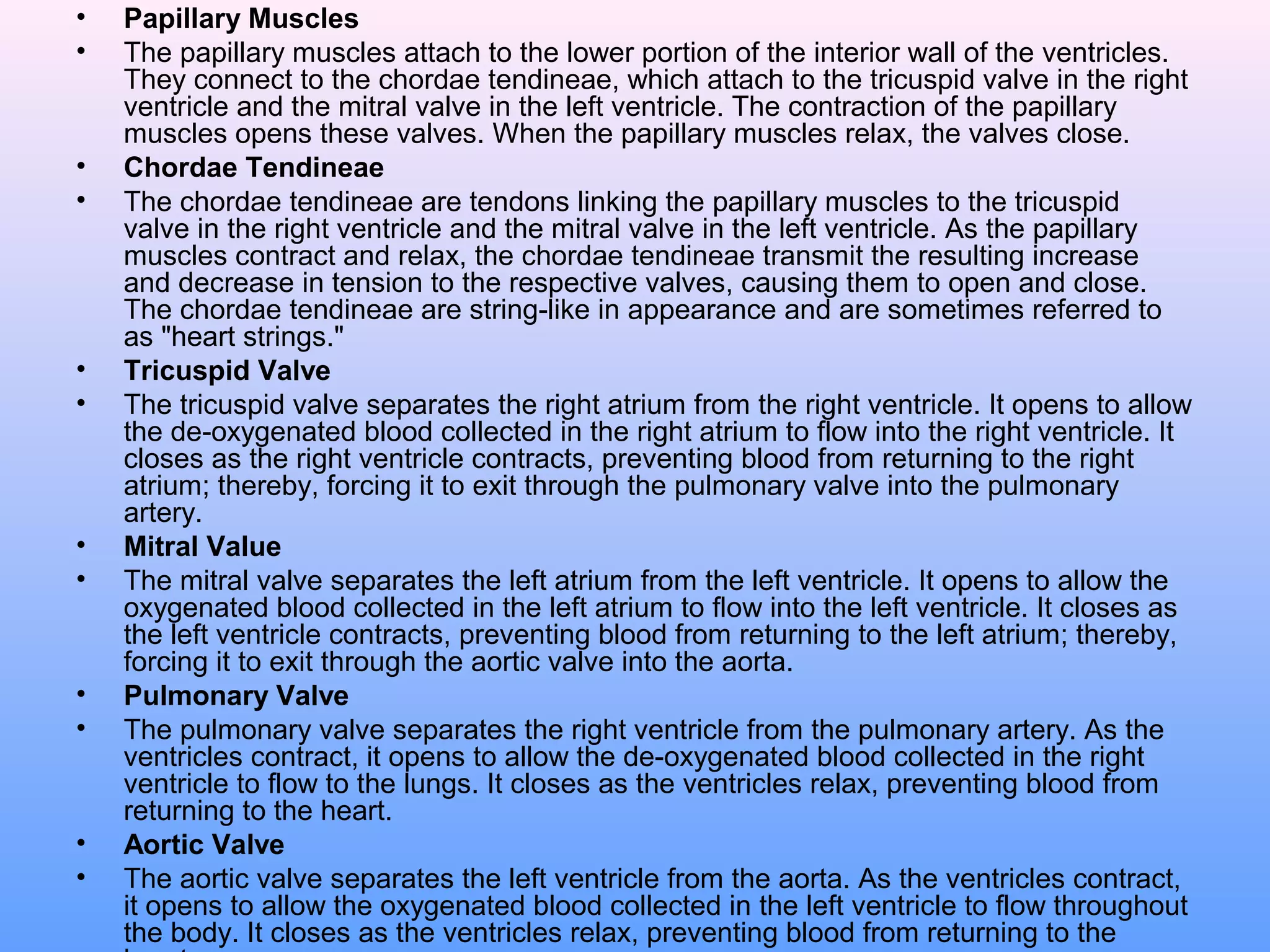 Anatomy and function of the coronary arteries | PPT