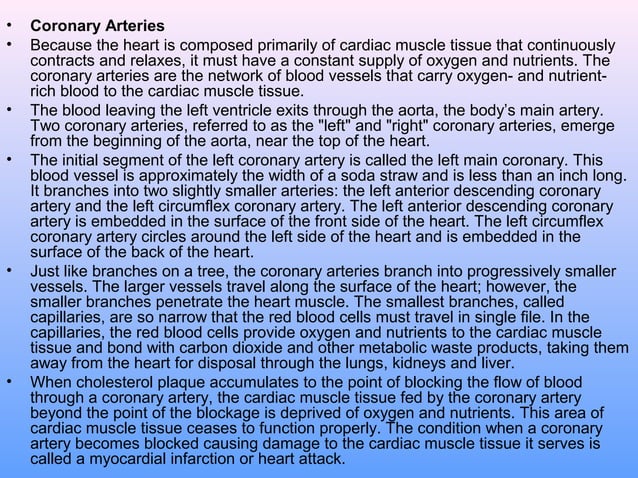 Anatomy and function of the coronary arteries | PPT
