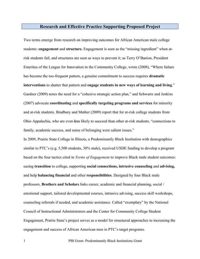 Nikki1. Writing Sample 2 PBI | PDF