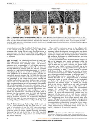 Skin | PDF | Skin and Dermatology | Diseases and Conditions