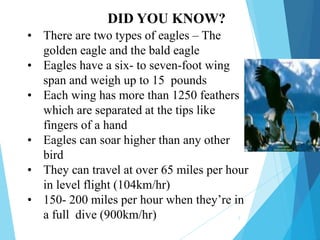 SOARING ON HIGH 2 | PPT