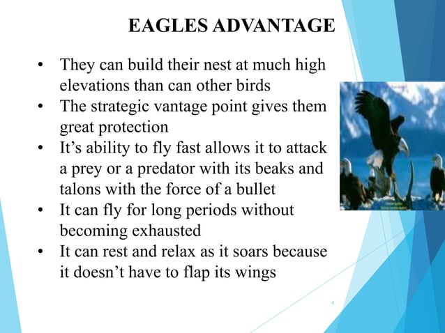 SOARING ON HIGH 2 | PPT