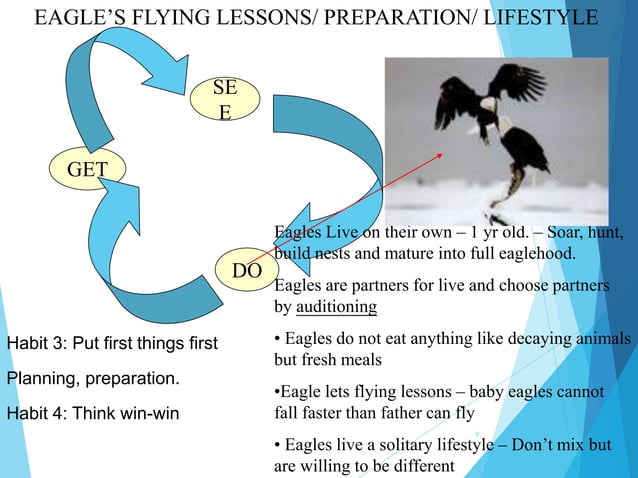 SOARING ON HIGH 2 | PPT