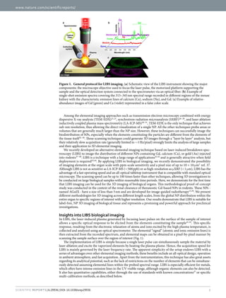 3D Imaging of Nanoparticles | PDF