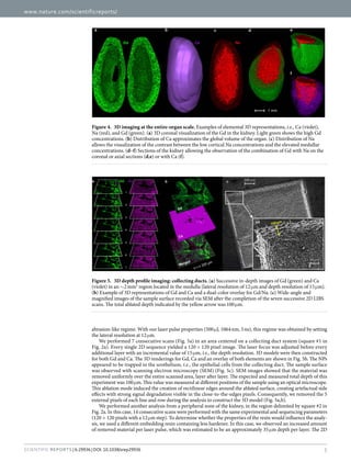 3D Imaging of Nanoparticles | PDF