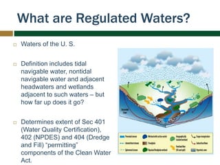 What are Waters of the United States? | PPT