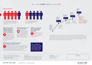 Platinum_Flyer_Eng | PDF