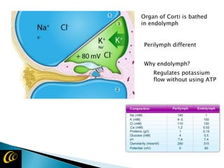 Aqueous Humor and Lymphs | PPTX