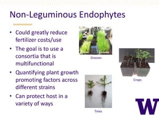 UW 2015 SYMPOSIUM | PPT | Free Download