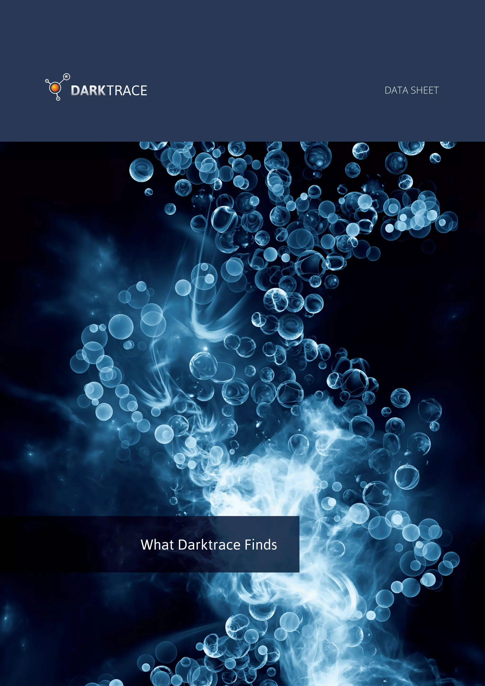 Data Sheet_What Darktrace Finds | PDF