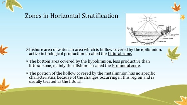 Ecosystem Structures