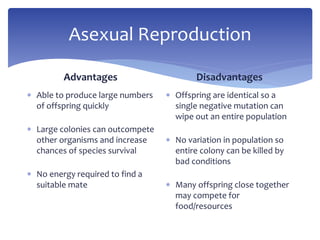 5ef asexual reproduction | PPTX