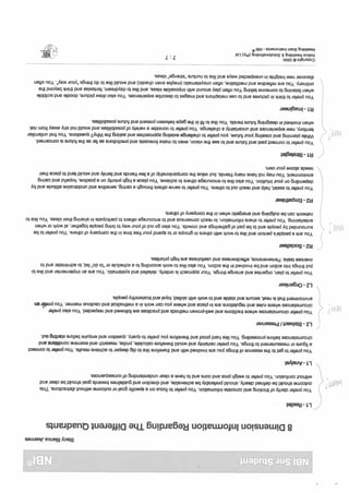4 Quadrant Brain Profile (NBI) | PDF | Brain and Nervous System ...