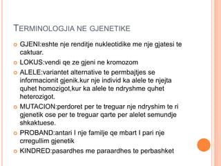 Modelet e trashegimise njegjenike dhe semundjet | PPTX