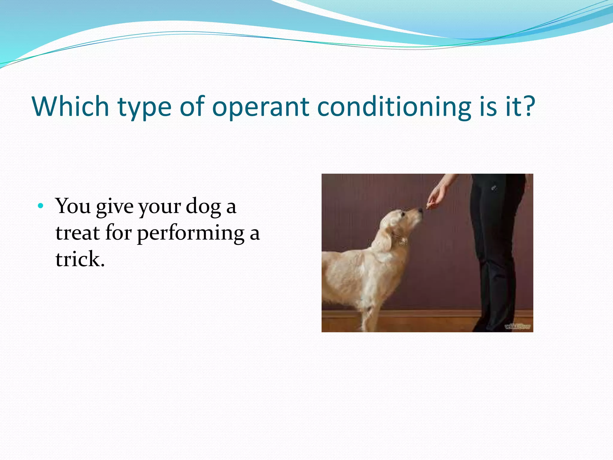 Operant conditioning | PPSX