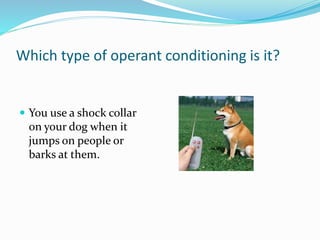 Operant conditioning | PPSX