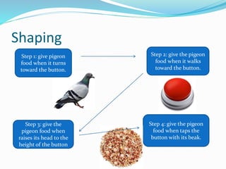 Operant conditioning | PPSX