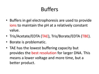 (5) Electrophoresis.pptx