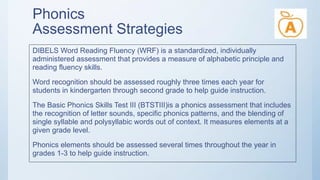 5 Components of Literacy | PPTX