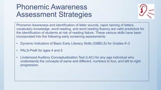 5 Components of Literacy | PPTX