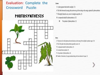 5 e lesson plan ppt | PPTX | Gardening | Home & Garden