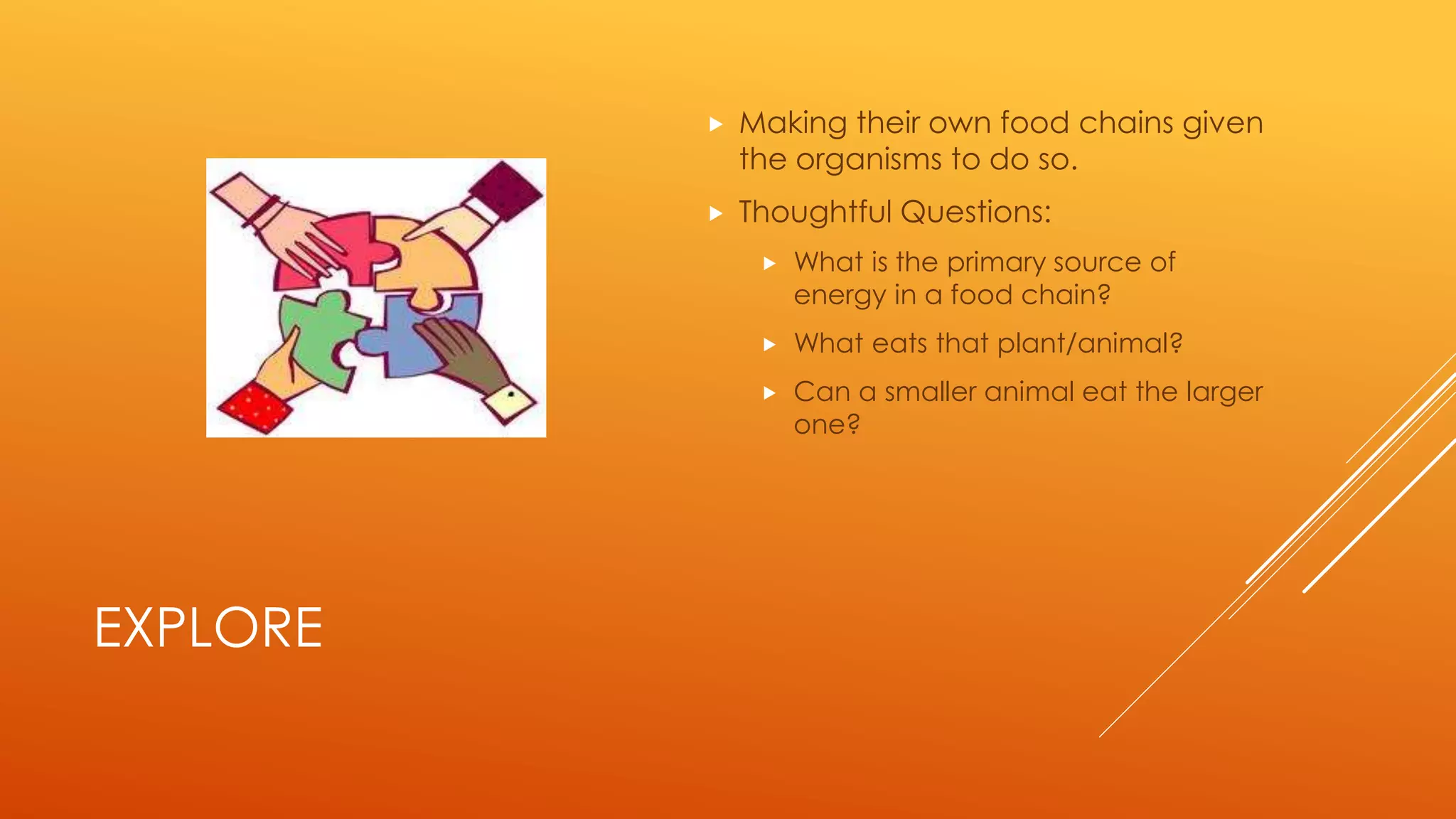 5e lesson plan – food chain | PPTX