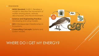 5e lesson plan – food chain | PPTX