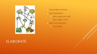 5e lesson plan – food chain | PPTX