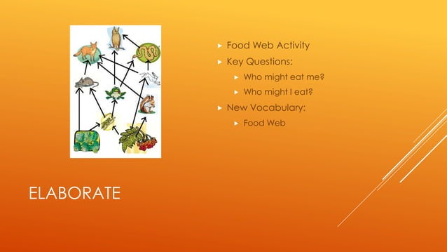 5e lesson plan – food chain | PPTX