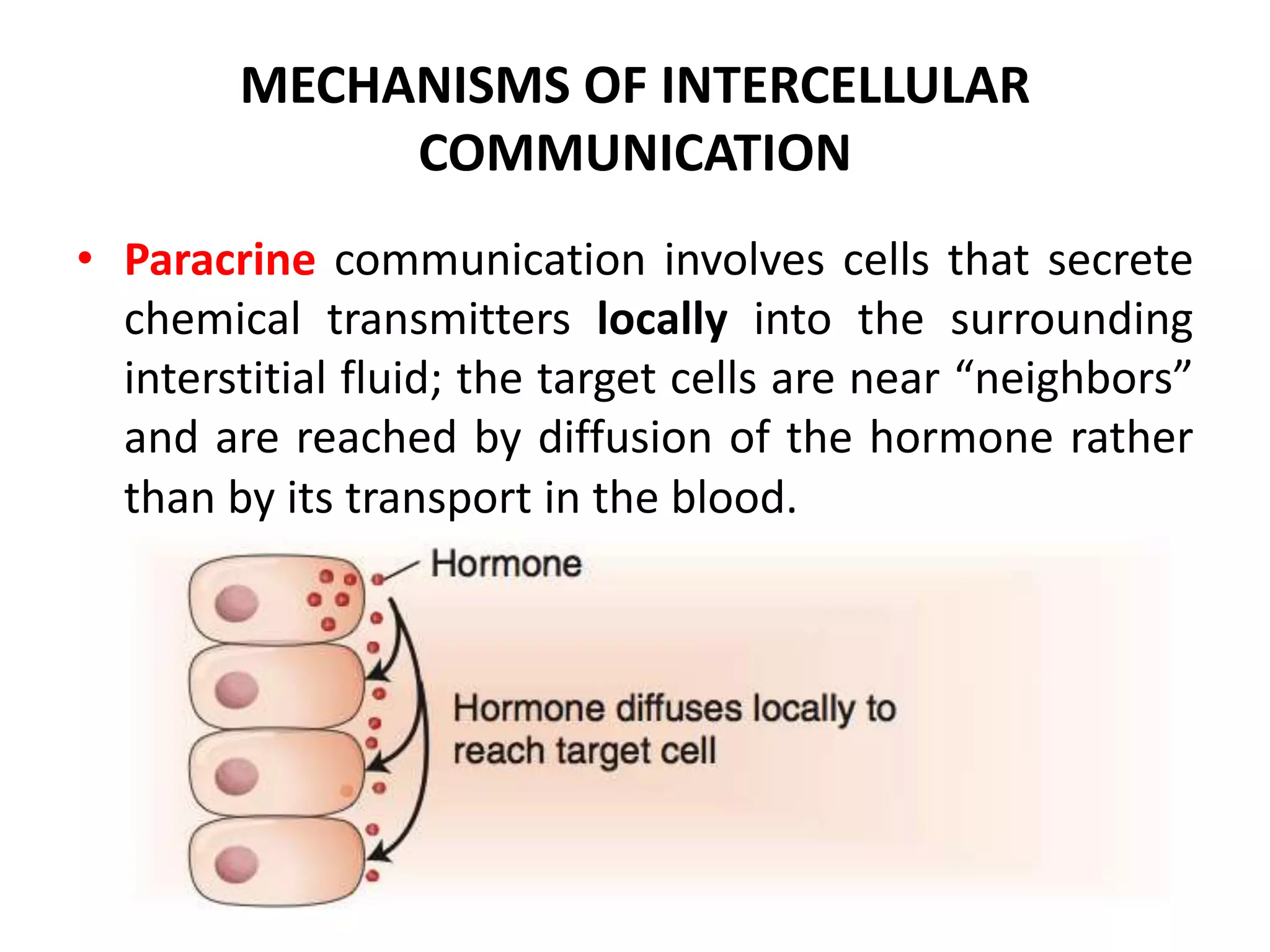 endocrine system Physiology | PPTX