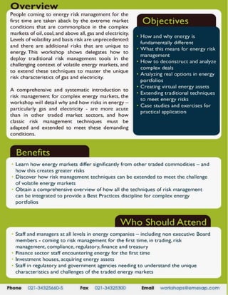 5 Energy Risk Management | PDF