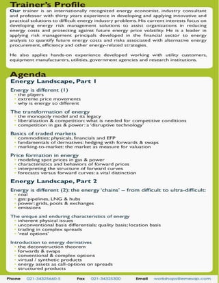 5 Energy Risk Management | PDF