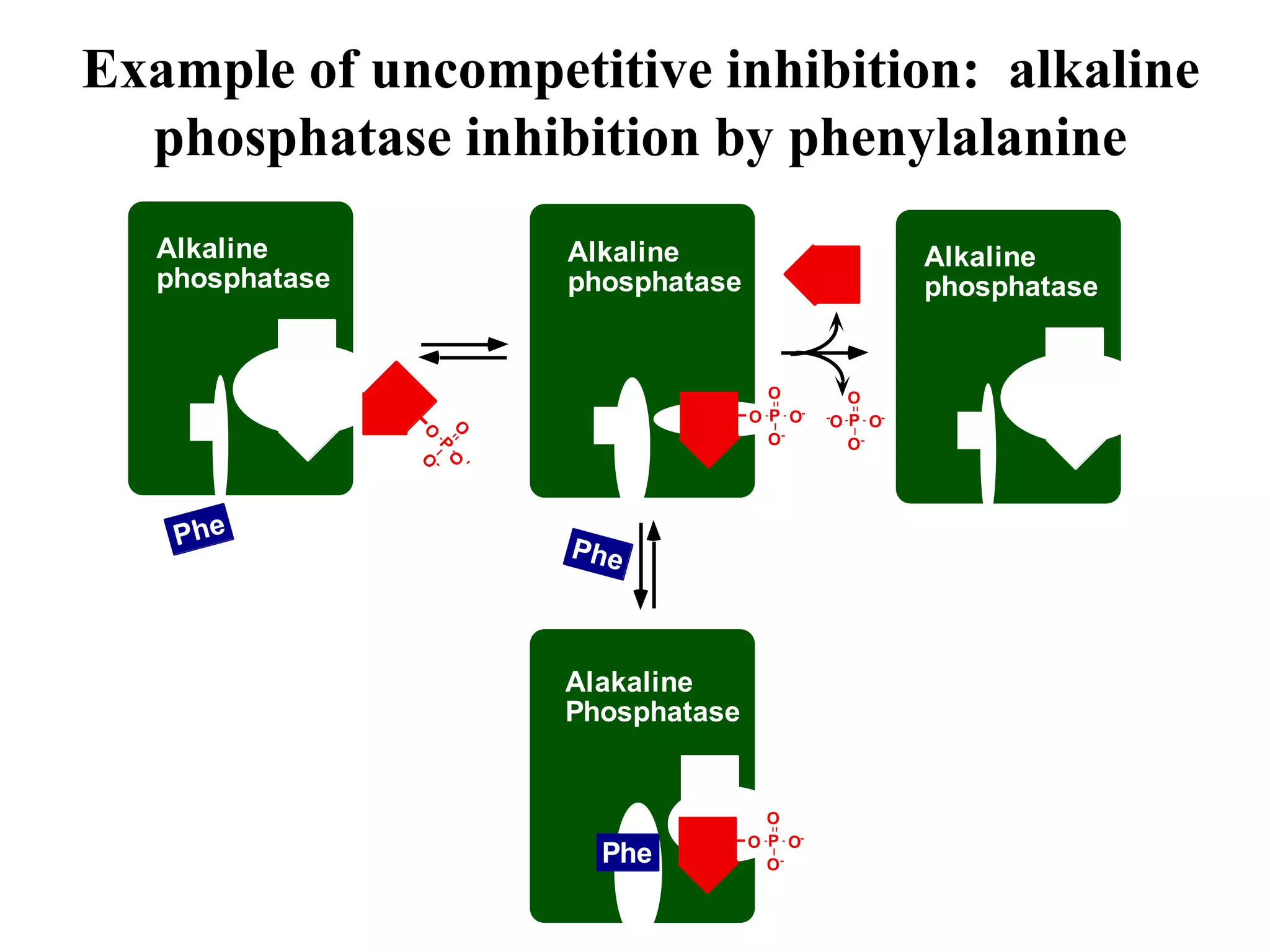 5 enzyme kinetics-inhibition.ppt