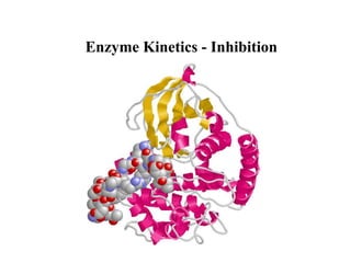 5 enzyme kinetics-inhibition.ppt