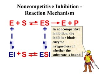 5 enzyme kinetics-inhibition.ppt