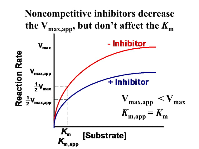5 enzyme kinetics-inhibition.ppt
