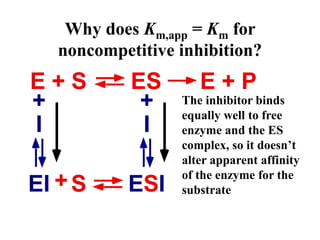 5 enzyme kinetics-inhibition.ppt
