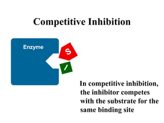 5 enzyme kinetics-inhibition.ppt