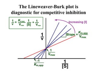 5 enzyme kinetics-inhibition.ppt