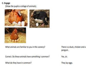 5E'S LESSON PLAN.pptx