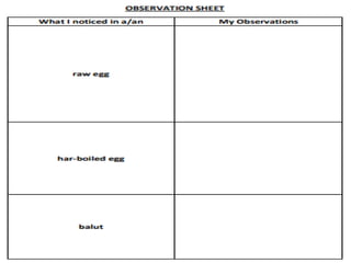 5E'S LESSON PLAN.pptx