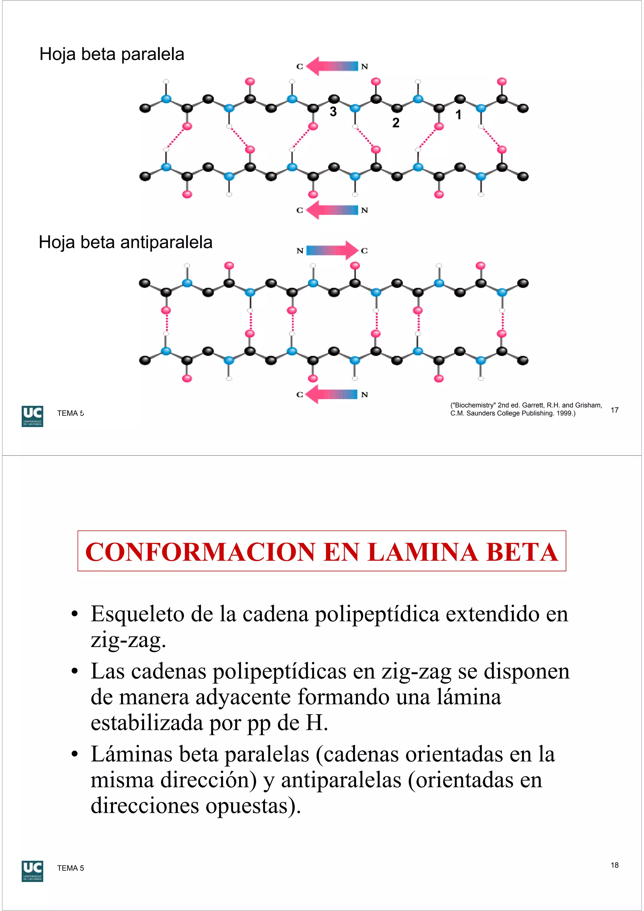estructura secundaria ,terciaria y cuaternaria | PDF