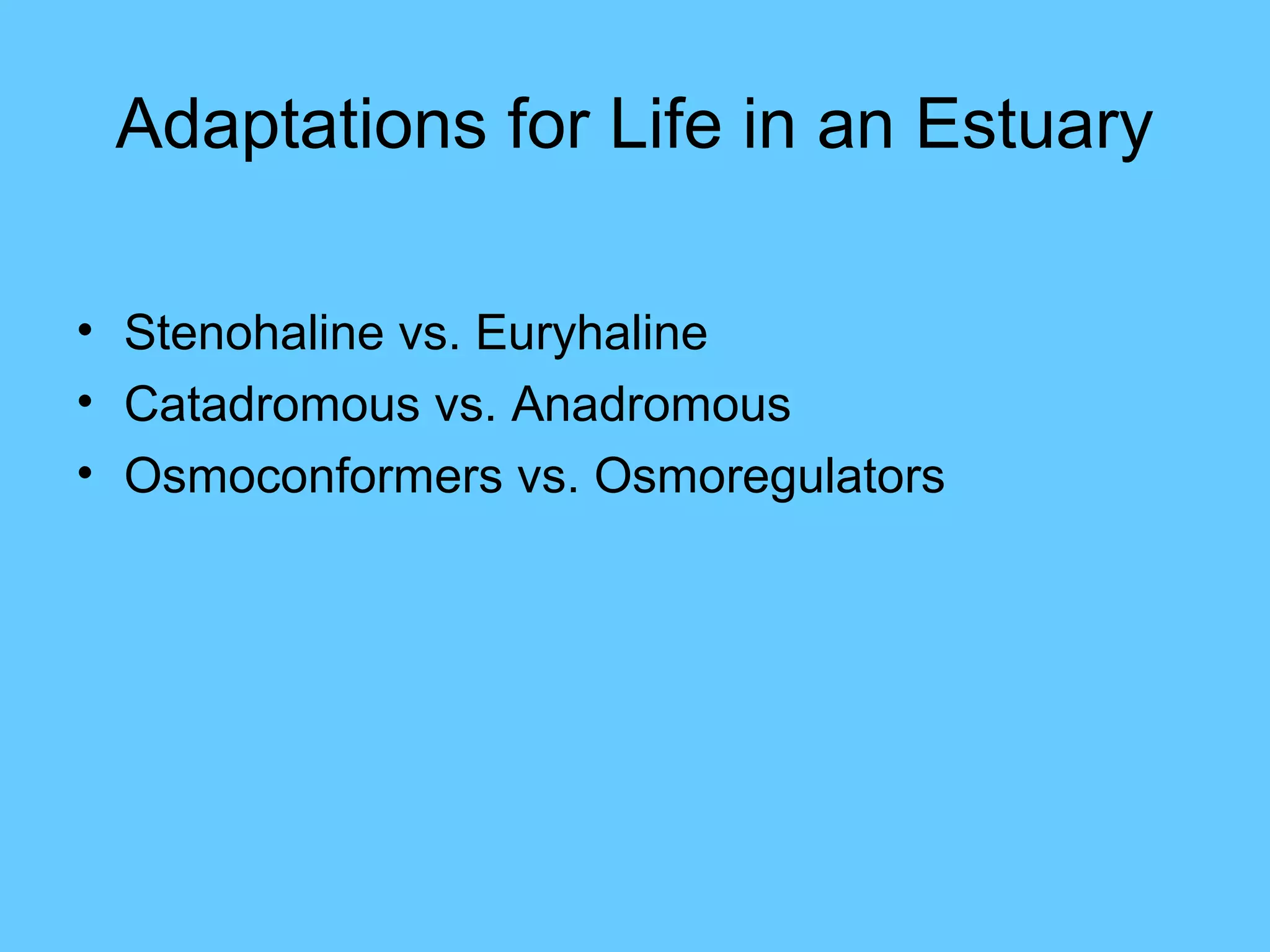 5 estuarine organisms | PPT