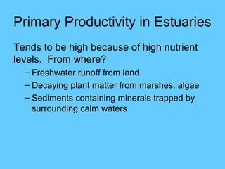 5 estuarine organisms | PPT