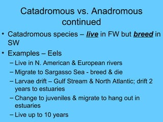 5 estuarine organisms | PPT