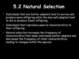 5 evolution & biodiversity syllabus statements | PPT