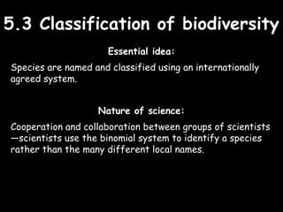 5 evolution & biodiversity syllabus statements | PPT