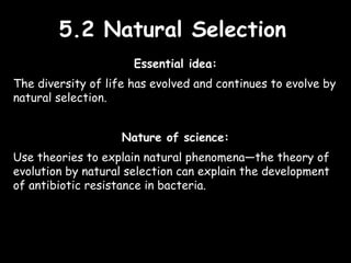 5 evolution & biodiversity syllabus statements | PPT